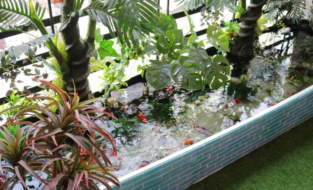 10 Model Kolam Ikan Mini Depan Rumah untuk Lahan Sempit