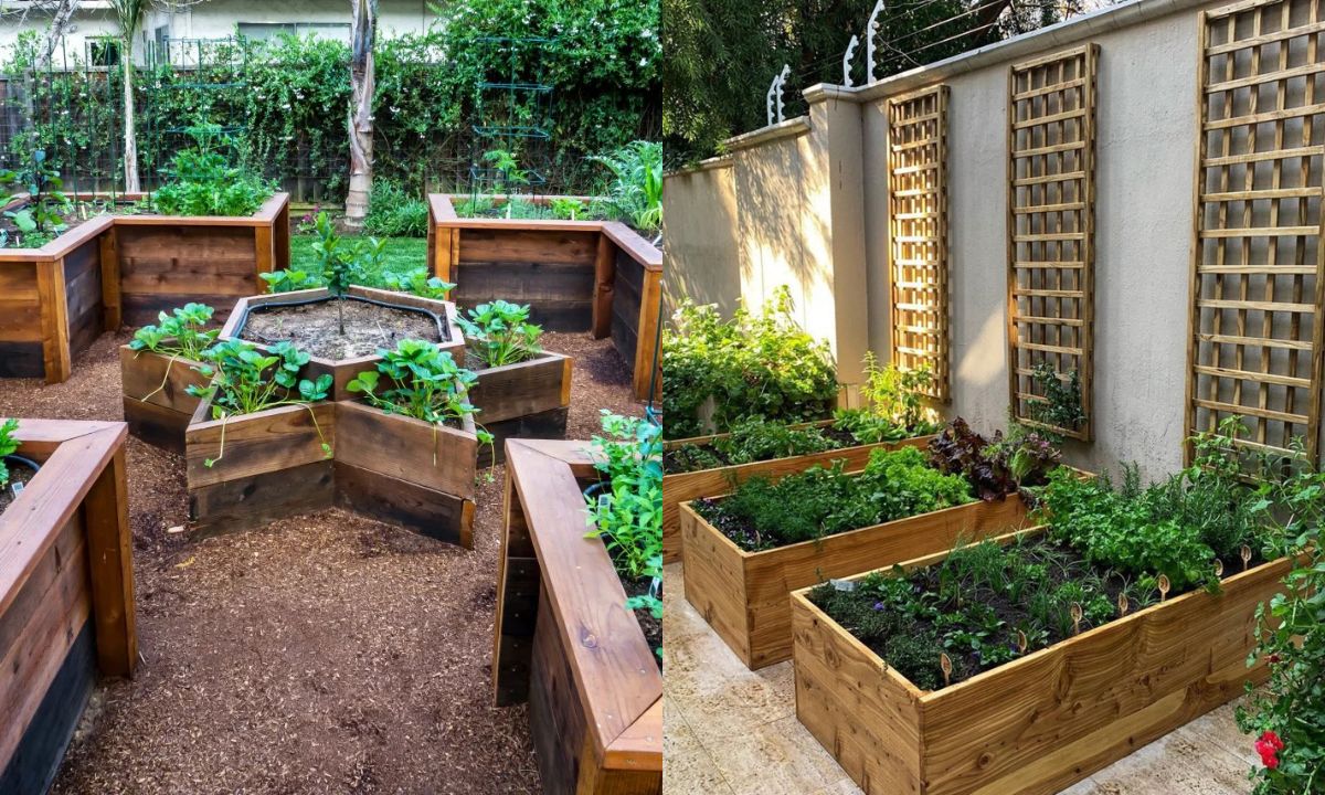 5 Desain Kebun Sayur Belakang Rumah yang Rapi dan Estetik