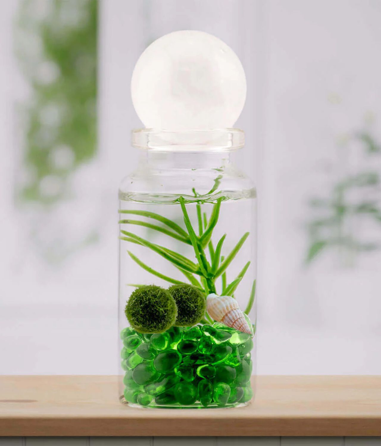 5 Jenis Tanaman Air untuk Ikan Cupang yang Mudah Dicari