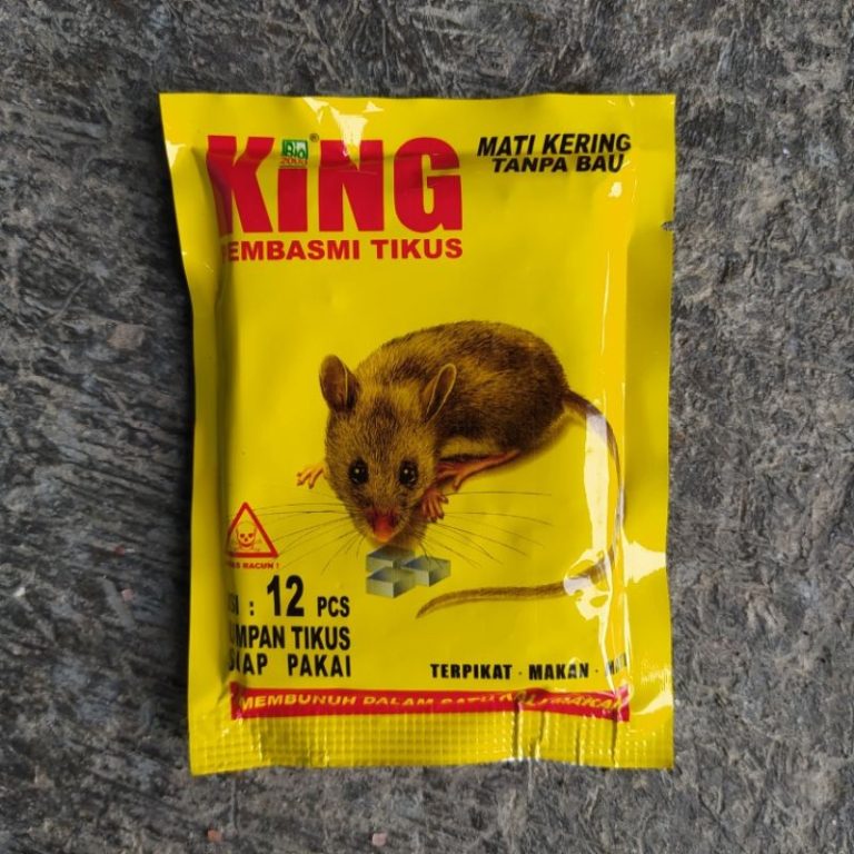 10 Rekomendasi Racun Tikus Paling Ampuh dan Termurah