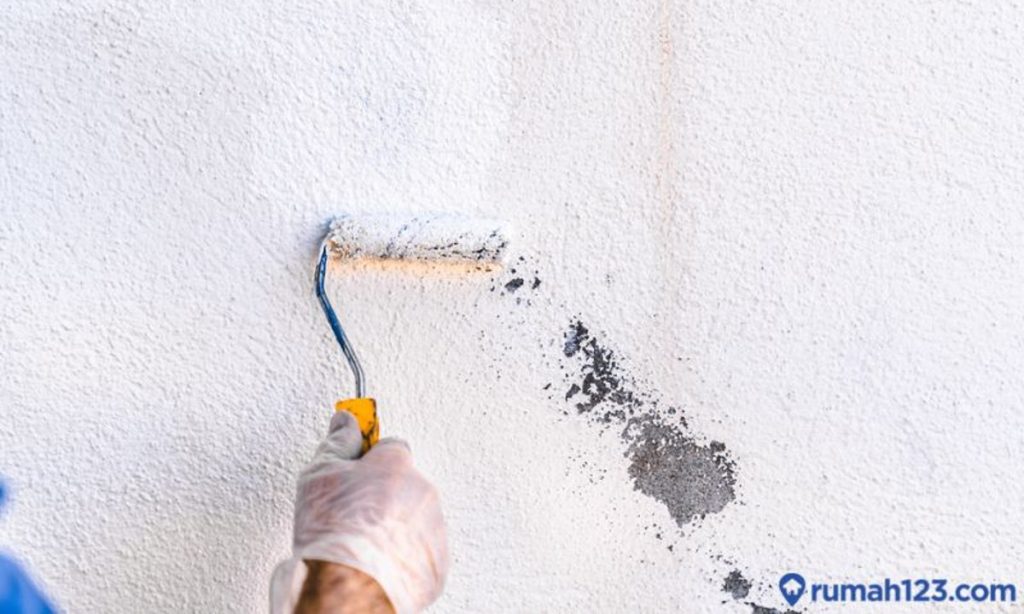 7 Cara Mengecat Tembok Lama Untuk Pemula Mudah