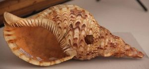 10 Alat Musik Tradisional Indonesia dan Asalnya yang Perlu Diketahui