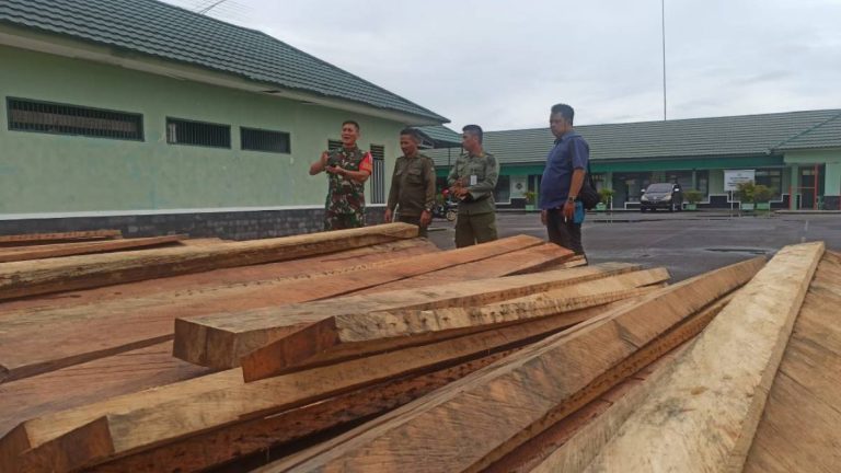 Daftar Harga Kayu Meranti Berbagai Ukuran Terbaru 2025