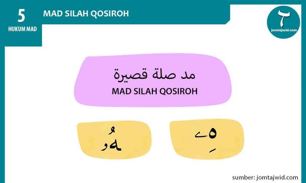 20 Contoh Mad Silah Qasirah Disertai Penjelasan & Hukumnya