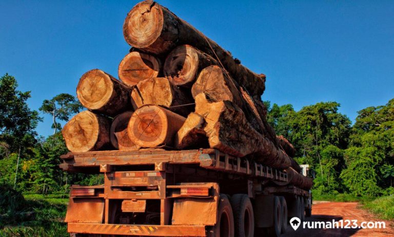 Cara Menghitung Kubikasi Kayu yang Benar, Pahami Rumusnya