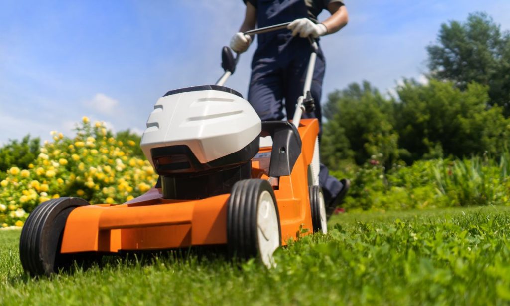 7 Rekomendasi Alat Pemotong Rumput Terbaik 2023