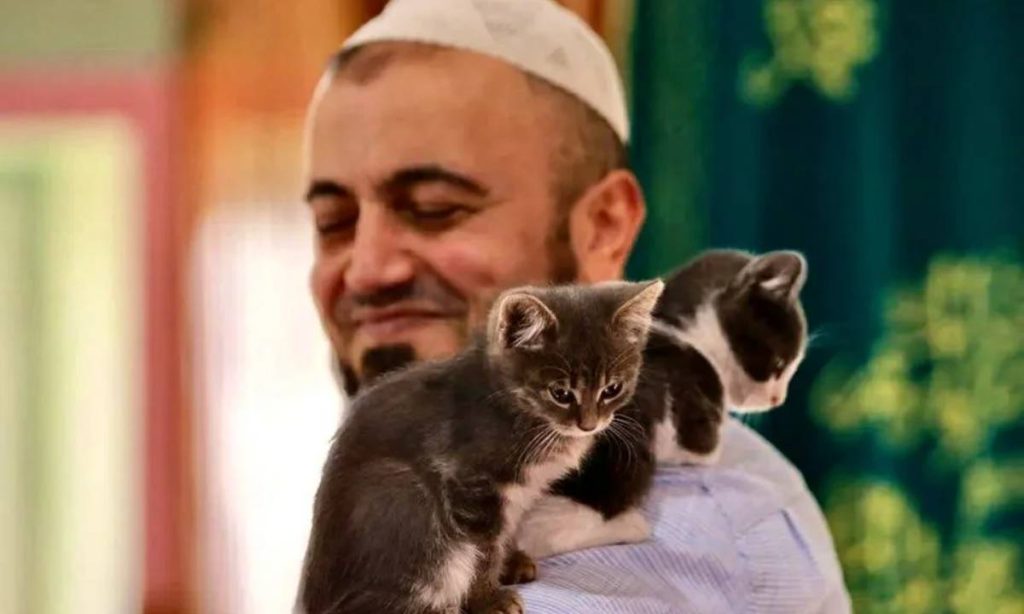 Bahaya Memelihara Kucing dalam Islam menurut Ulama, Apa Hukumnya?