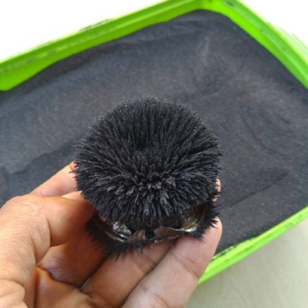 5 Manfaat Pasir Besi serta Pengertian Lengkap