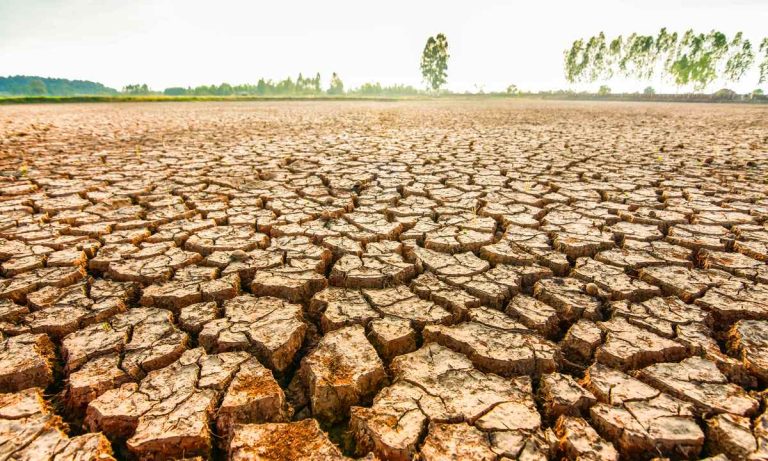 Kementan Manfaatkan Infrastruktur Air untuk Antisipasi Kemarau Ekstrem