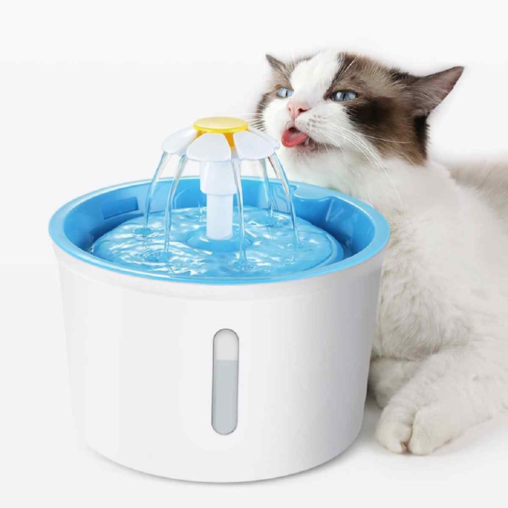 5 Tempat Minum Kucing Otomatis Terbaik Tahun 2023