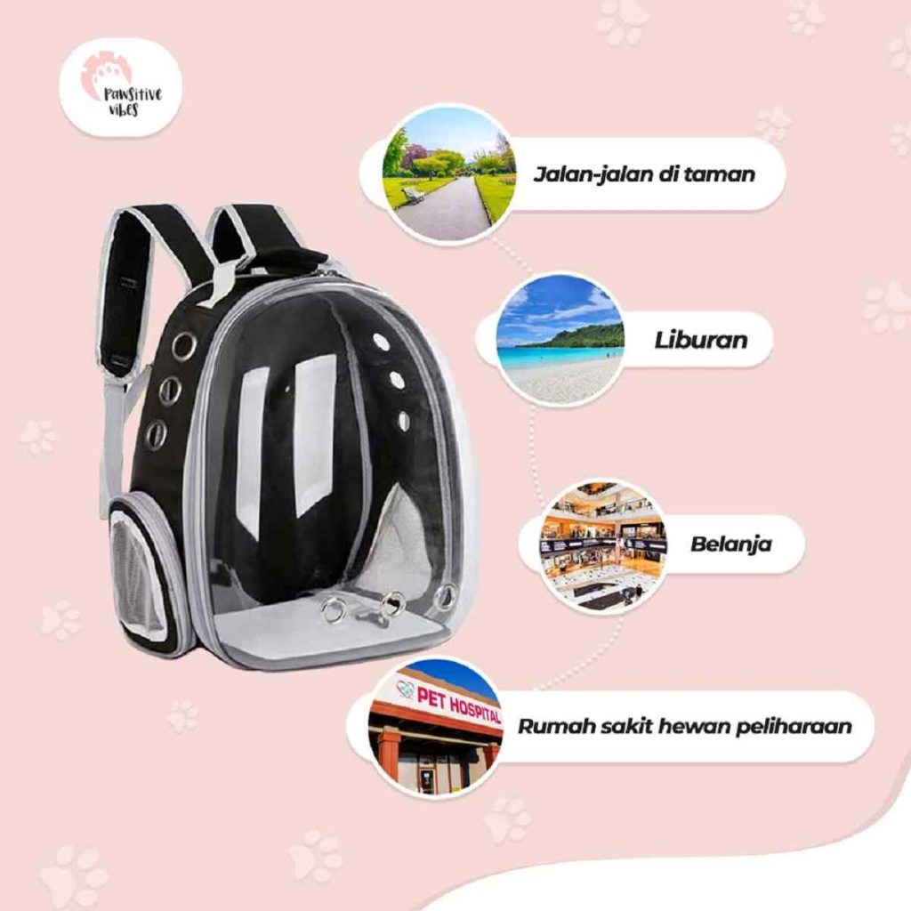 5 Rekomendasi Pet Carrier Kucing Terbaik Terbaru 2023