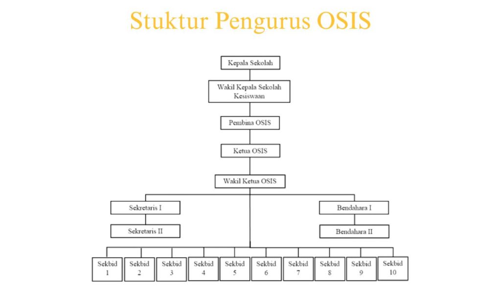 Mengenal Struktur Organisasi OSIS di Sekolah secara Lengkap