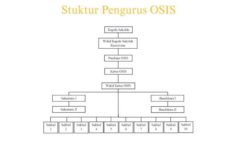 Mengenal Struktur Organisasi Osis Di Sekolah Secara Lengkap