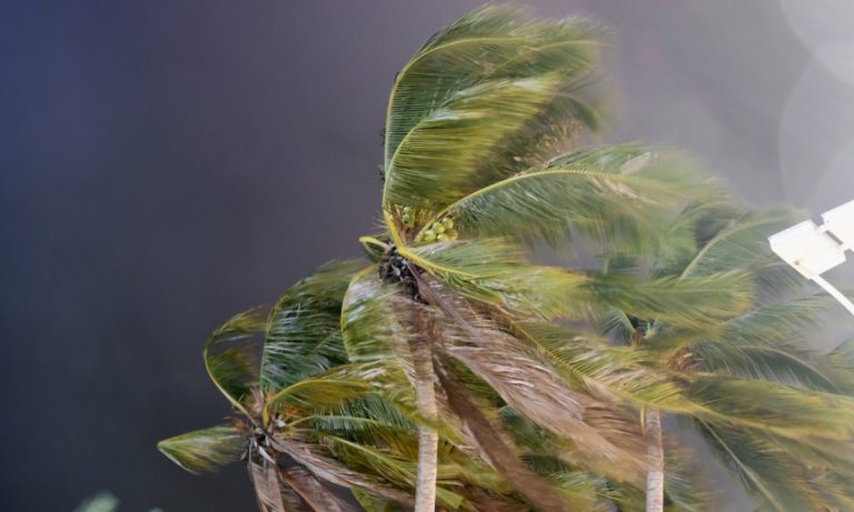 Doa Angin Kencang dalam Islam Beserta Artinya. Wajib Dihafal!