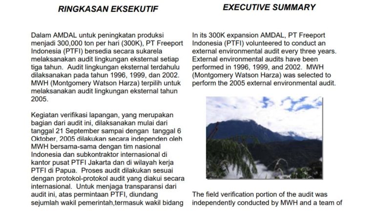 4 Contoh Executive Summary yang Baik dan Benar Terlengkap