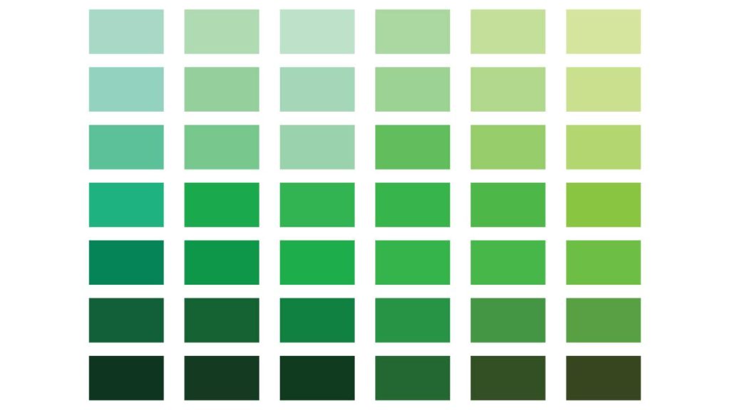 Macam Macam Warna Hijau dan Namanya