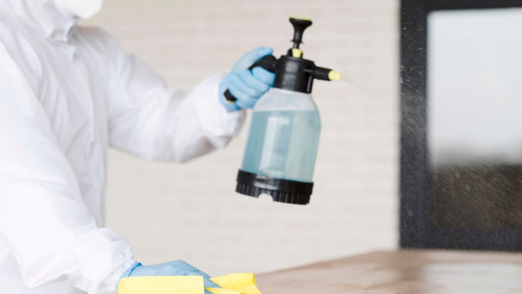 5 Rekomendasi Obat Anti Rayap Terbaik yang Ampuh