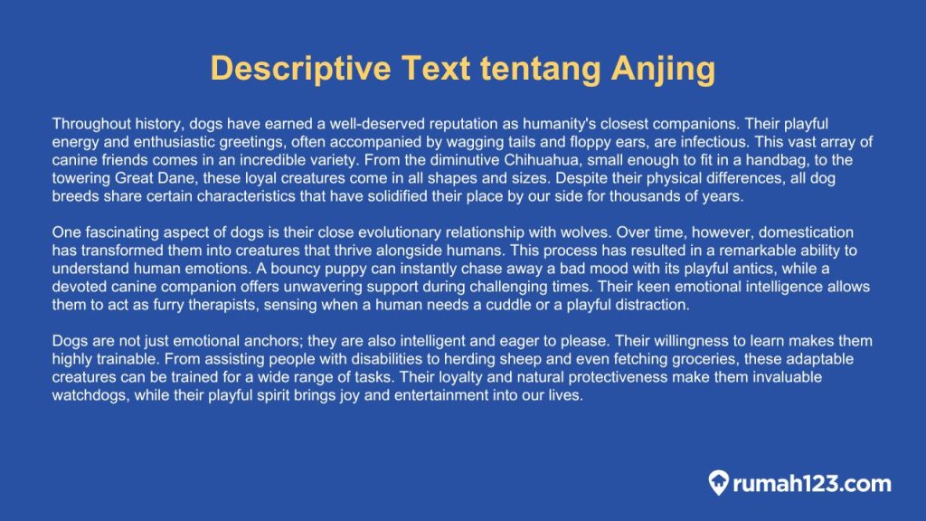 3 Contoh Descriptive Text tentang Hewan dan Artinya