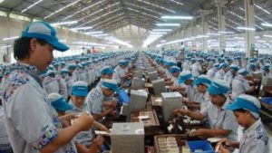 Gaji PT RAPP Pangkalan Kerinci Semua Posisi dan Cara Melamarnya