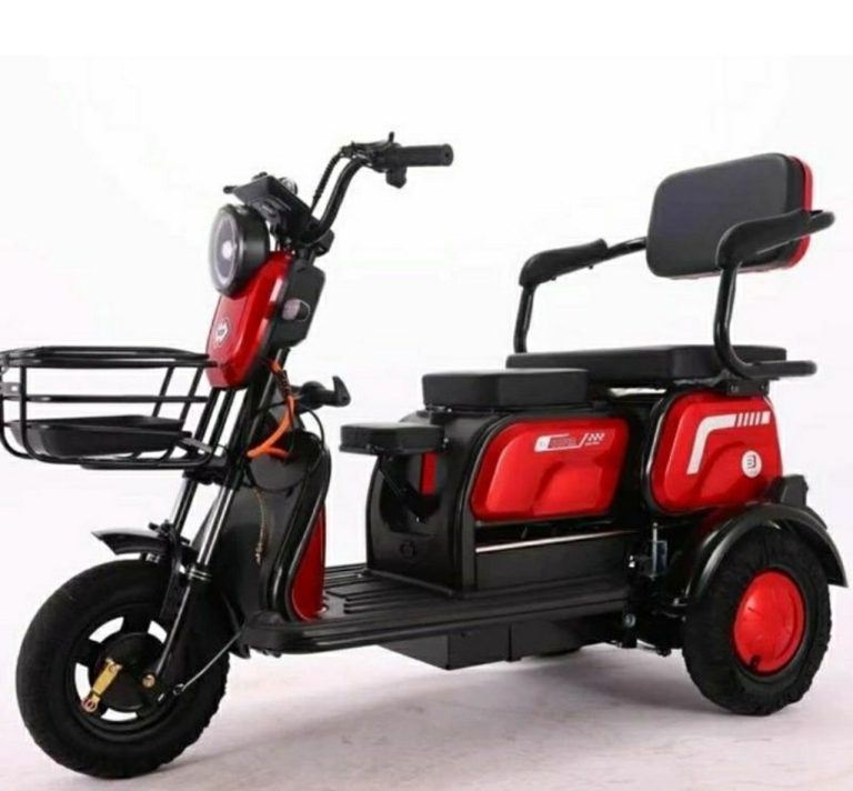 7 Rekomendasi Sepeda Listrik Roda 3 Terbaik 2024, Murah!