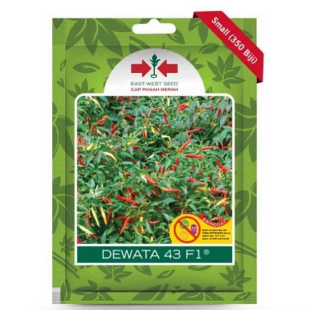 5 Rekomendasi Bibit Cabe Rawit Unggul, Berkualitas dan Cepat Panen!