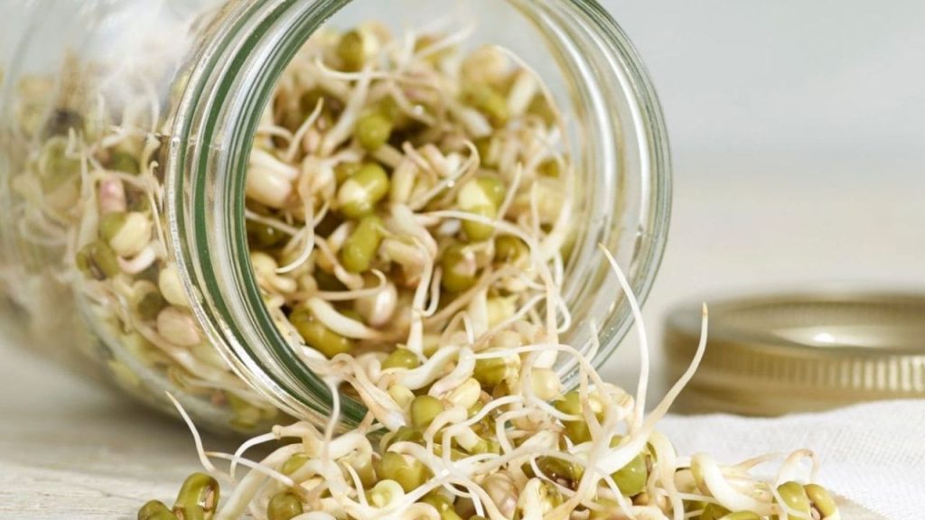 6 Cara Menyimpan Tauge di Kulkas agar Awet dan Tahan Lama