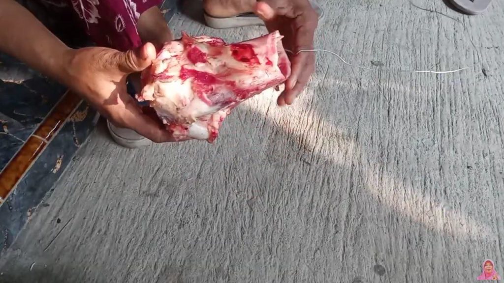 Cara Membasmi Semut Rangrang di Pohon Mangga